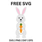 Charming Bunny Holding Carrot - Free SVG Cut File – 8SVG